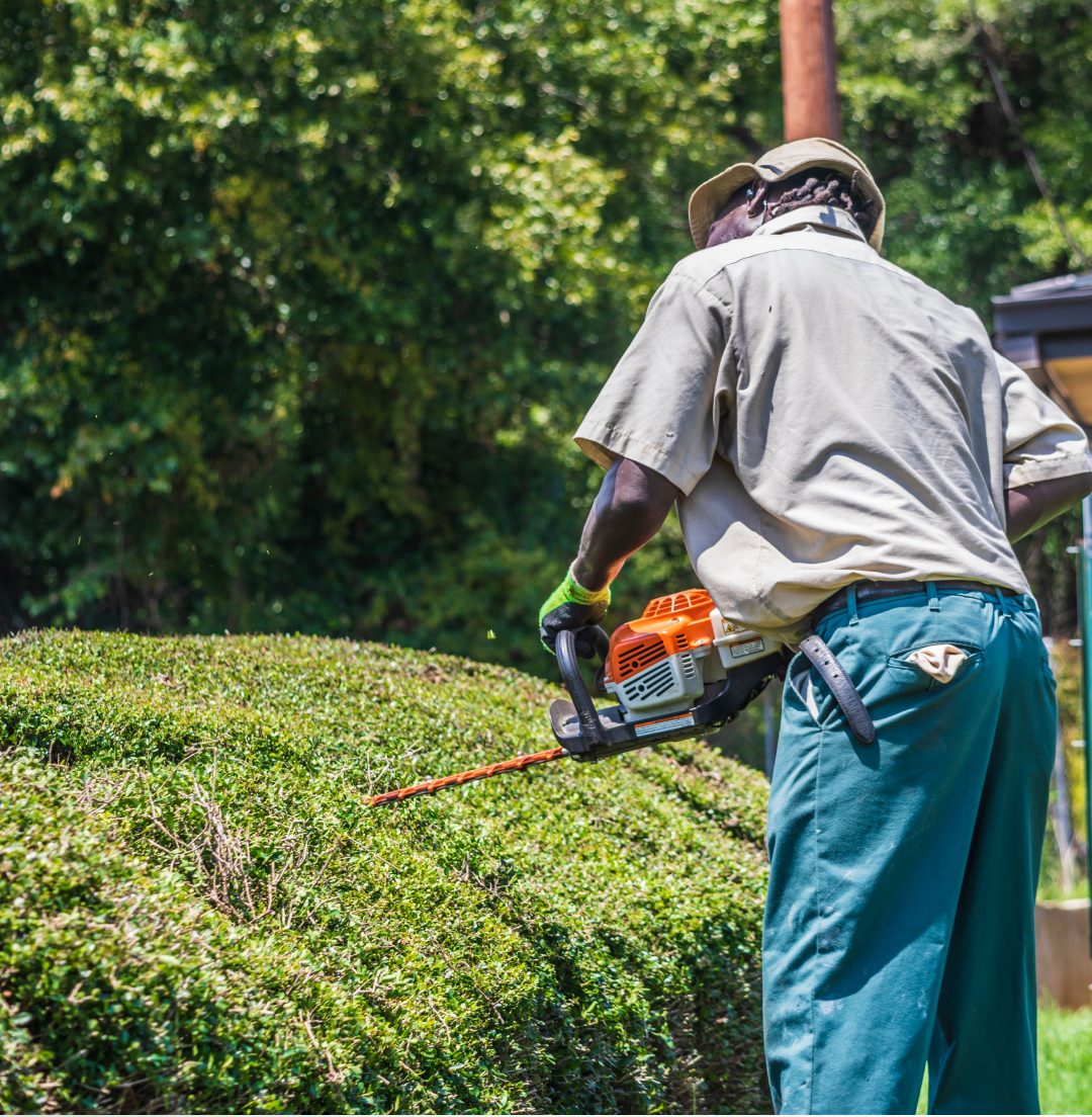 Most Profitable Landscape Services - Landscape Marketing Hero